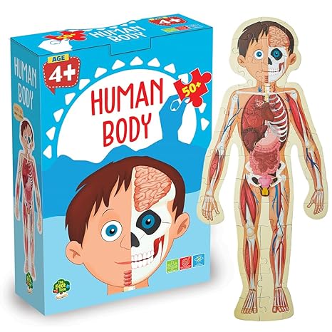 The Book Tree Human Body Puzzle for Kids 50+ Pieces Detailed Illustrat ...