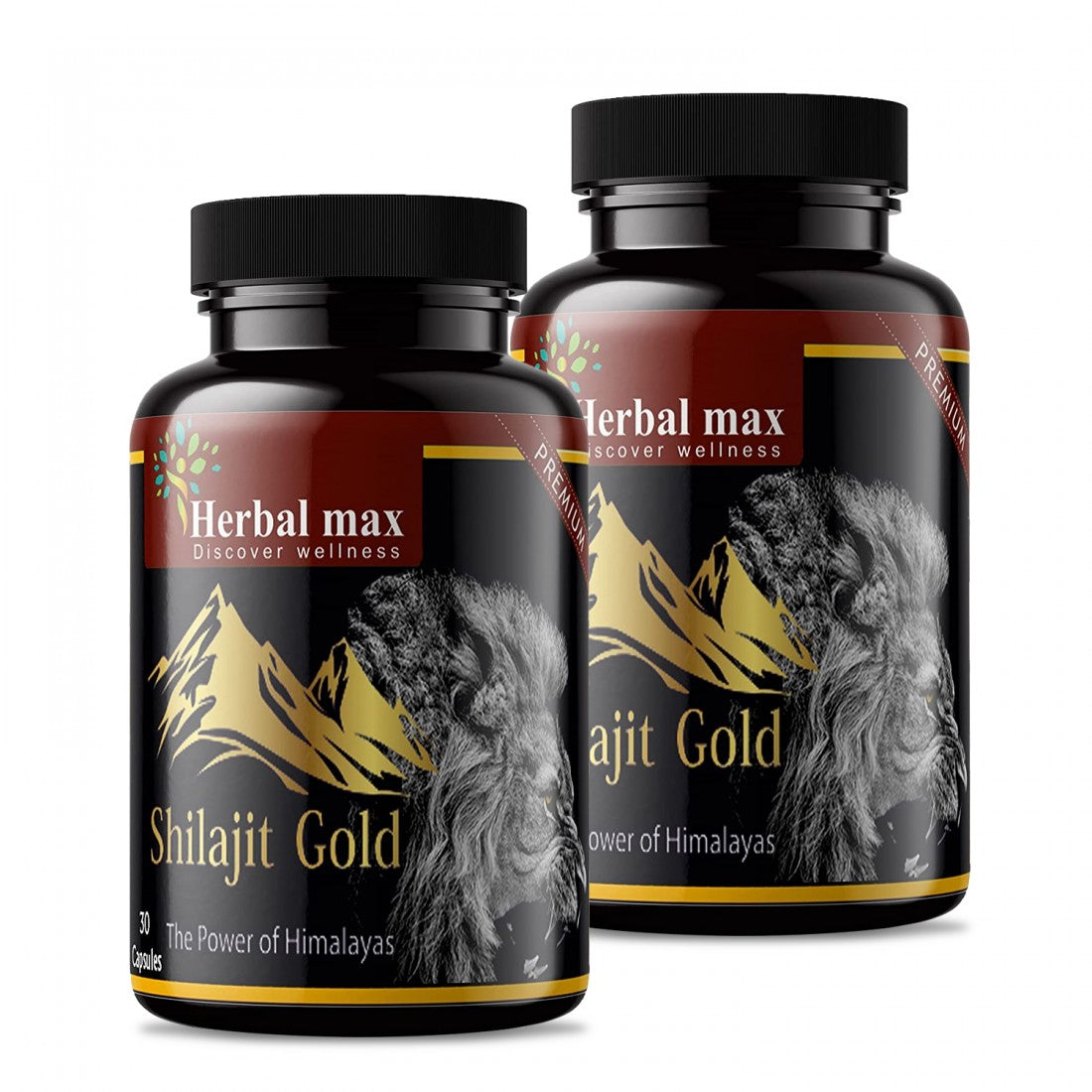 Herbalmax Sj Gold Pure Extract Capsules - 30 Caps (Pack of 2) - Swadesii