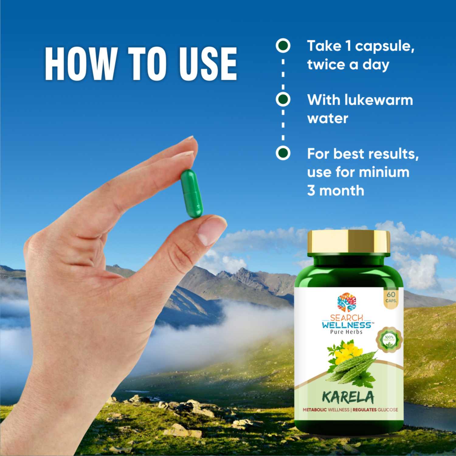 Search Wellness Karela - 60 tabs - Swadesii