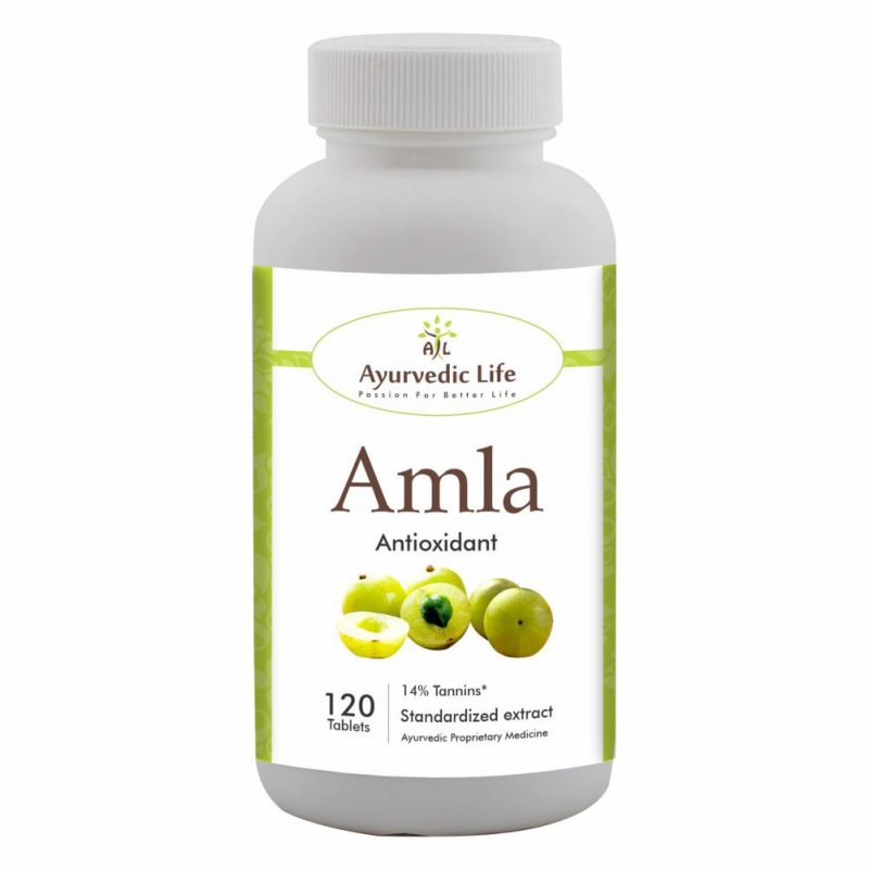 Ayurvedic Life Amla tablet – Amla for digestion – 120 tablet Pack of 2 ...