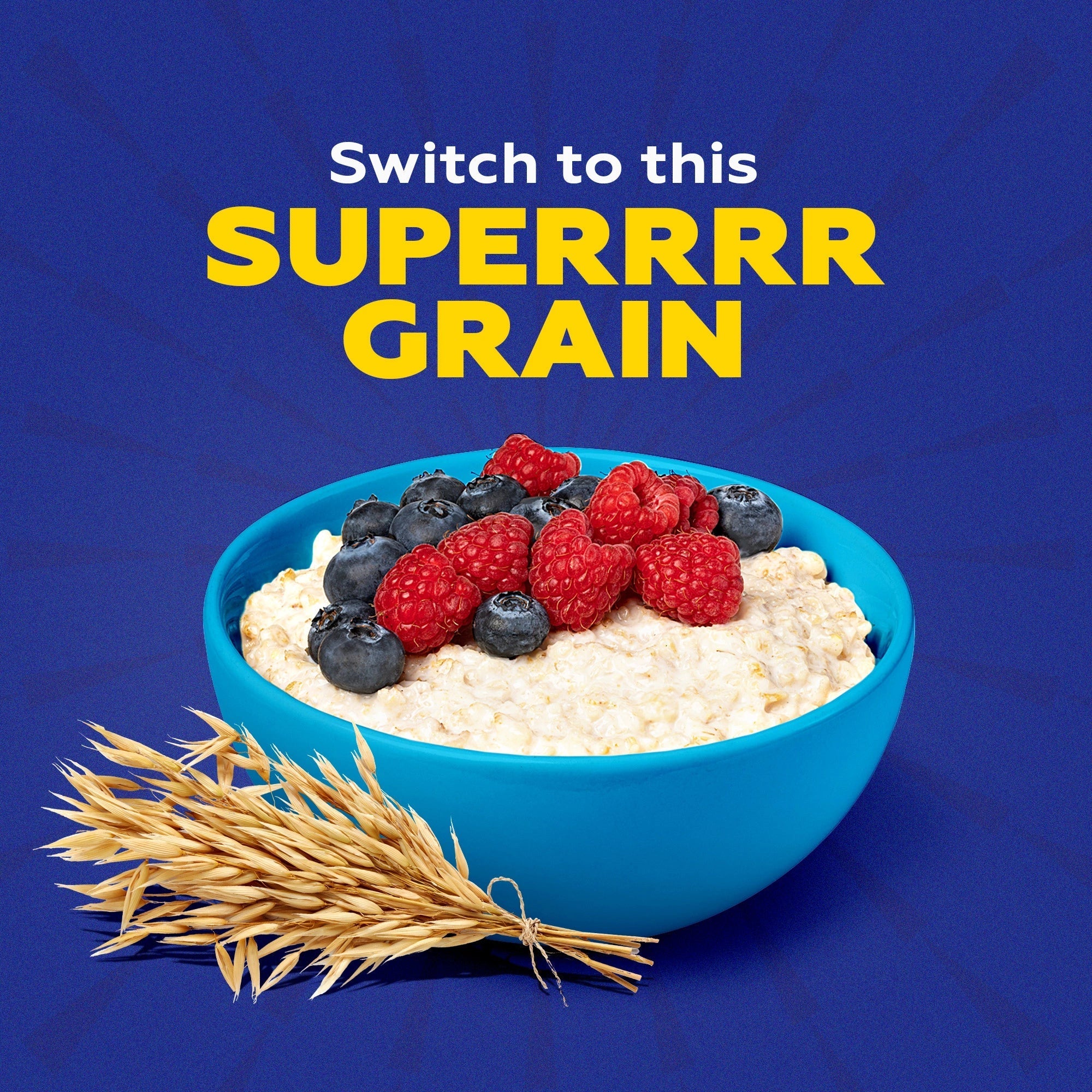 Yogabar Instant Oats - 450 gms - Swadesii