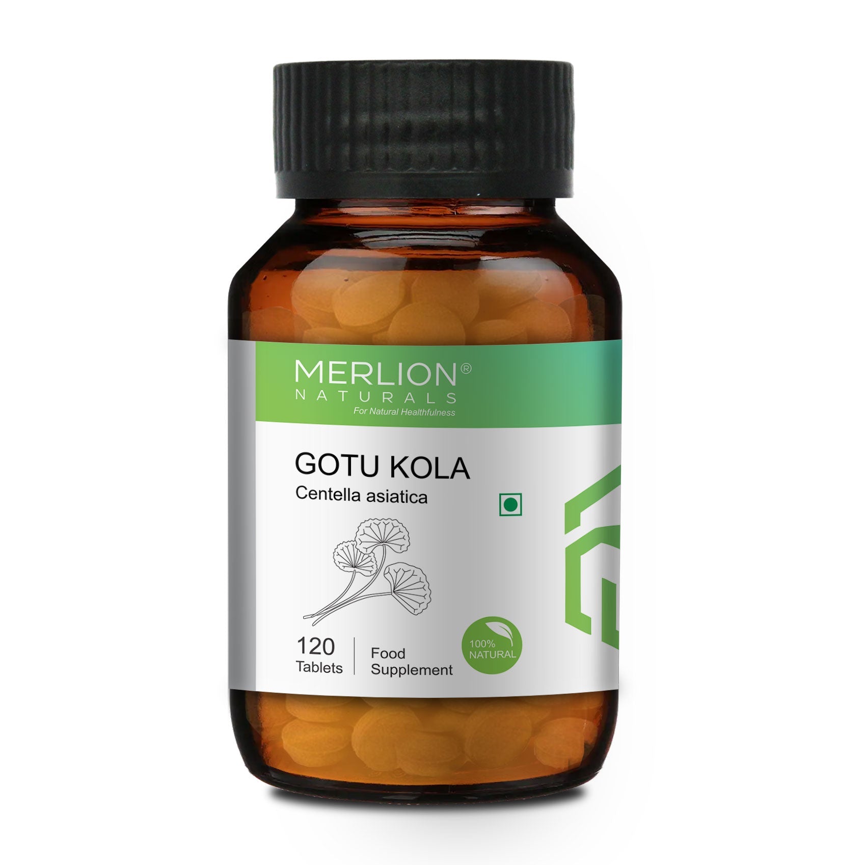 Merlion Naturals Gotu Kola Extract Tablets 500mg - Swadesii