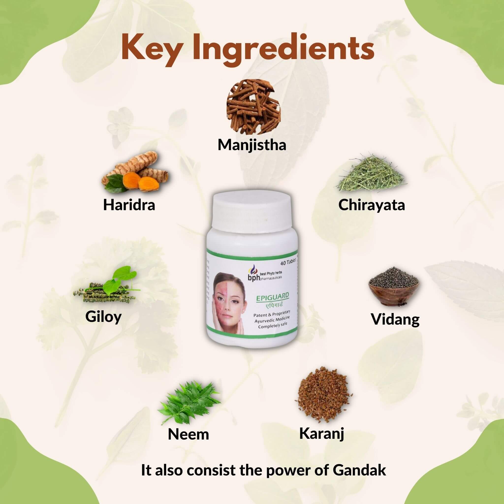 SN Herbals Epiguard Tablets - 40 Tab. - Swadesii