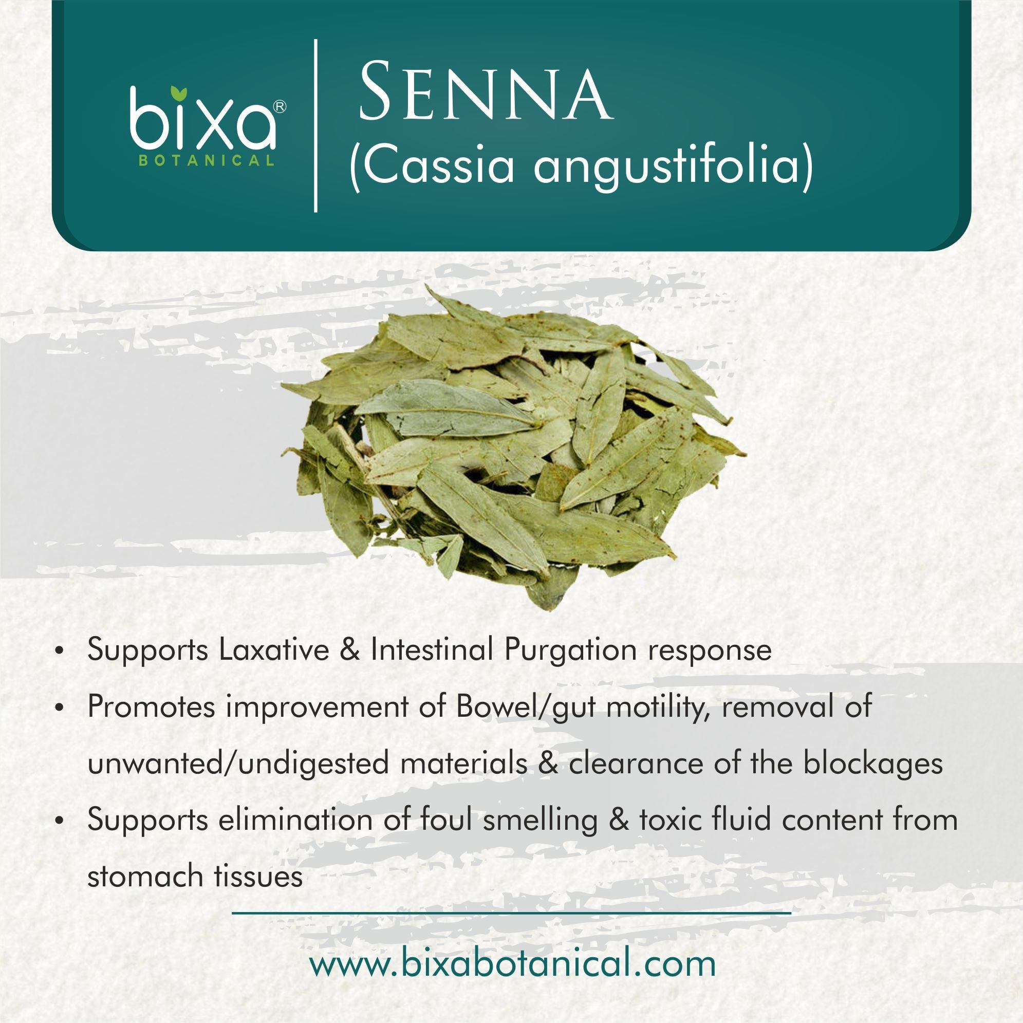 Bixa Botanical Senna Leaves Powder (Cassia angustifolia) - Swadesii