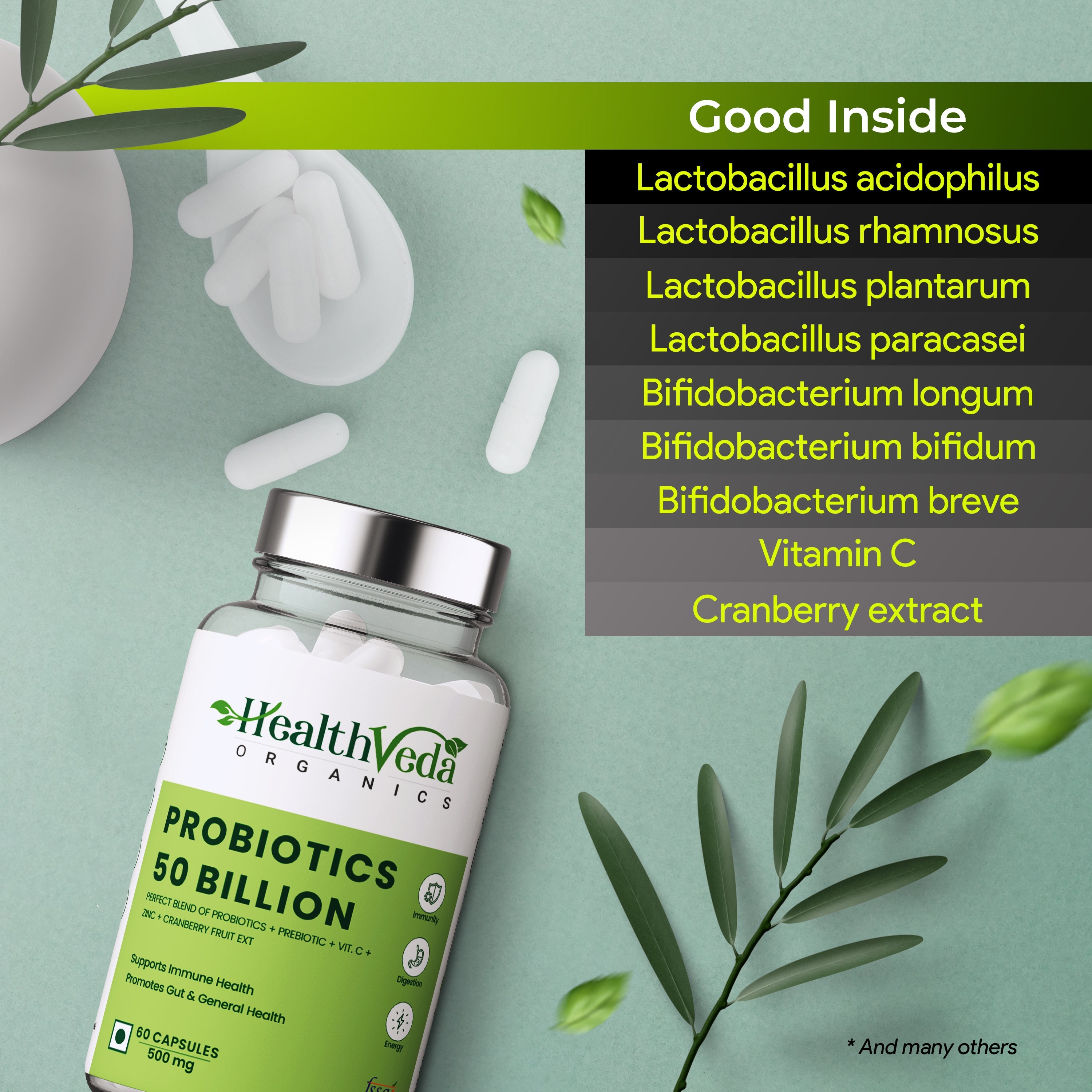 Health Veda Organics Probiotics 50 Billion CFU Multi Strains - 60 tabs ...