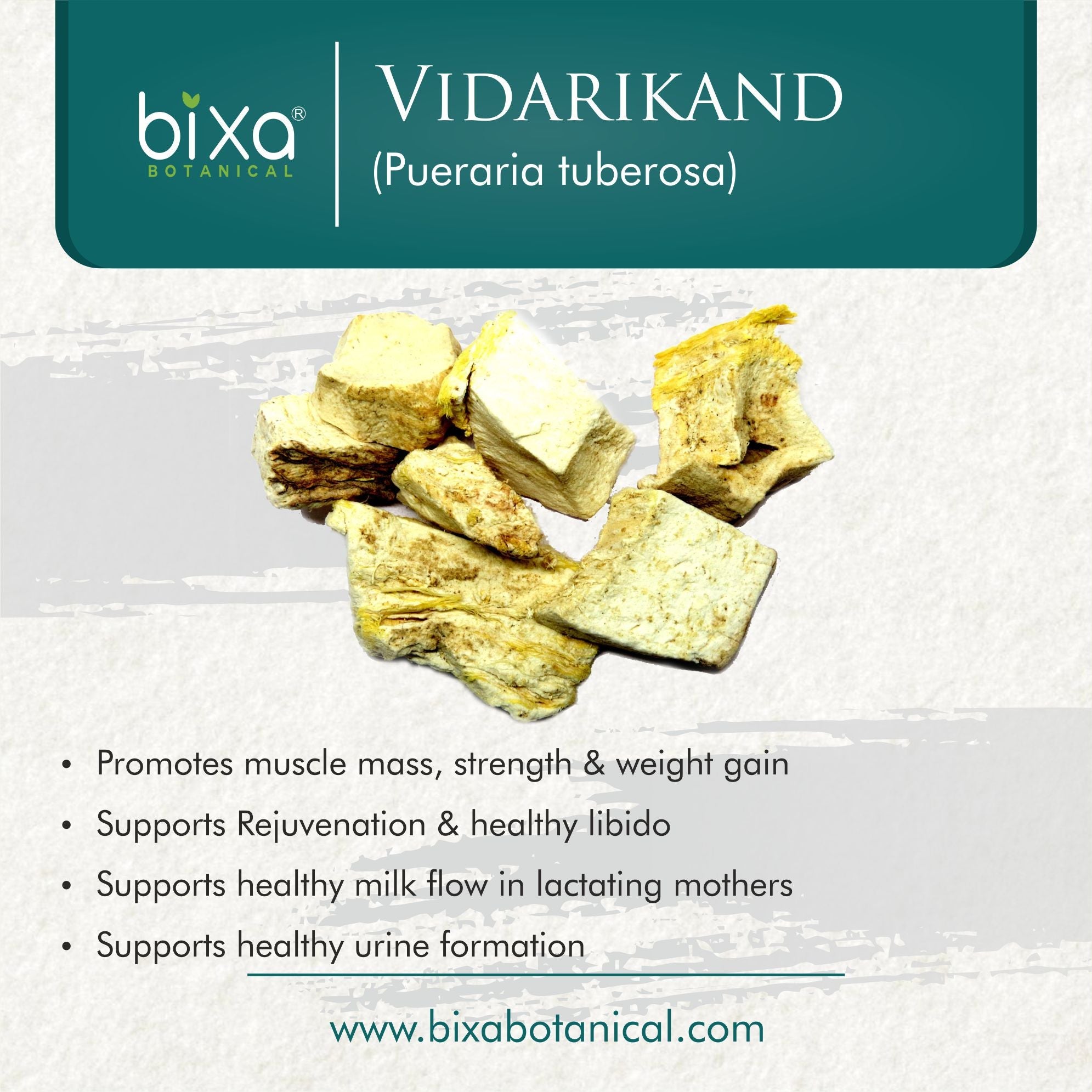Bixa Botanical Vidarikand Powder Pueraria tuberosa - Swadesii